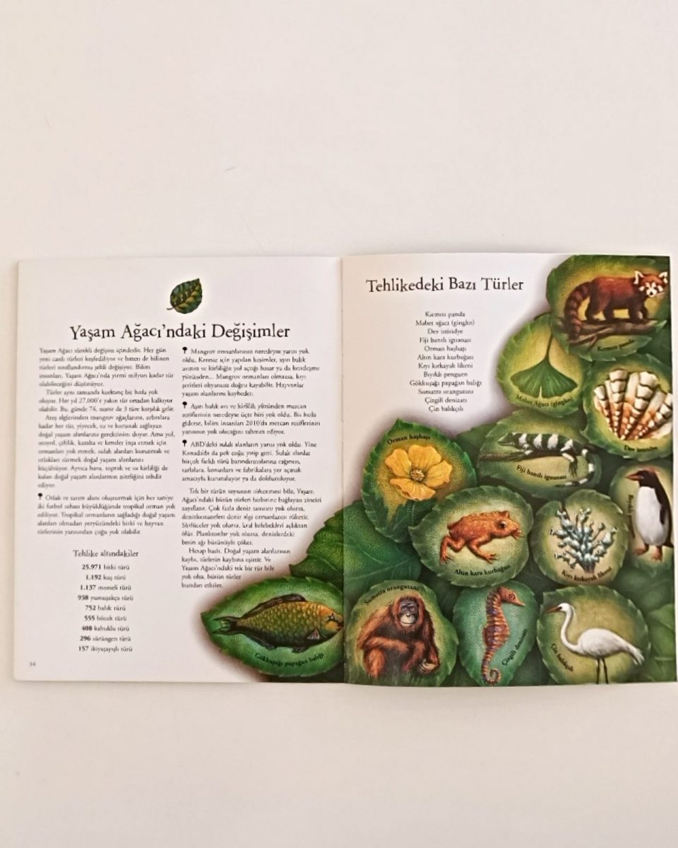 sürdürülebilirlikcocukkitaplari arşivleri - SSM Shop